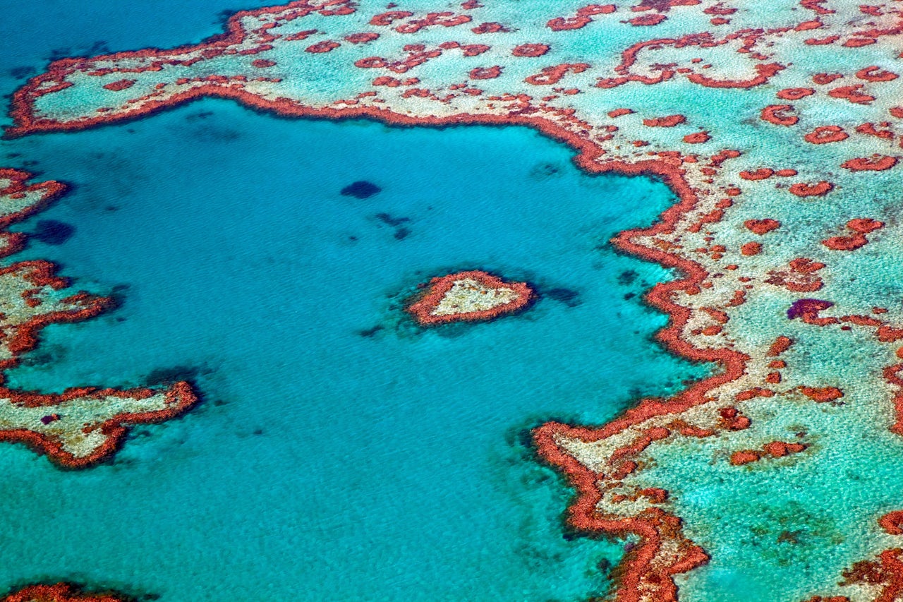 The Great Barrier Reef is 25 million years old and dying | The Outline
