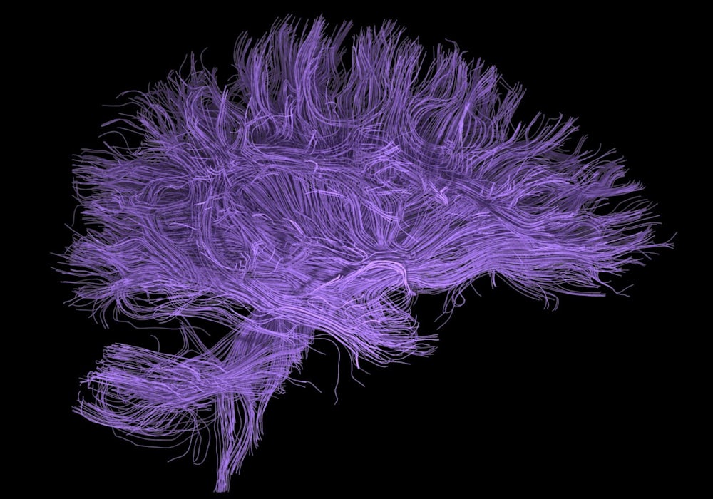 Brainfuck: code that was designed to hurt | The Outline