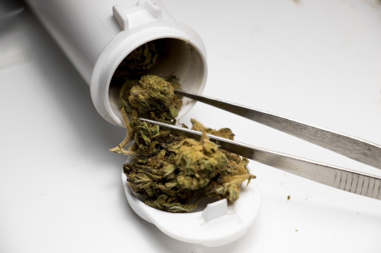 “What’s a spliff?” And other things doctors need to learn about legal ...