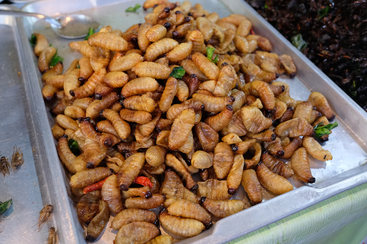People will eat bugs if they think it’ll make them cool | The Outline